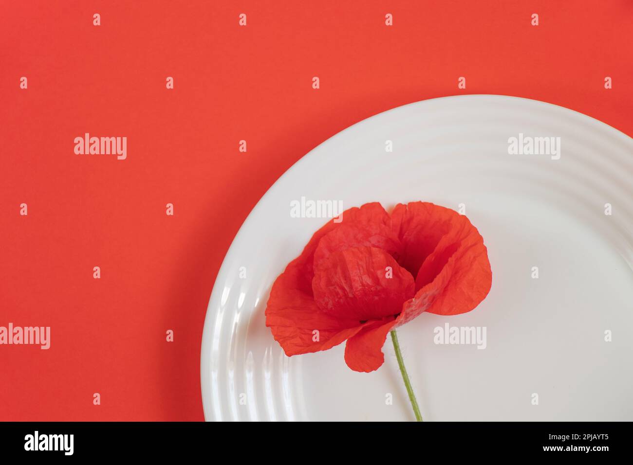 Ceramic poppy flower hi-res stock photography and images - Alamy