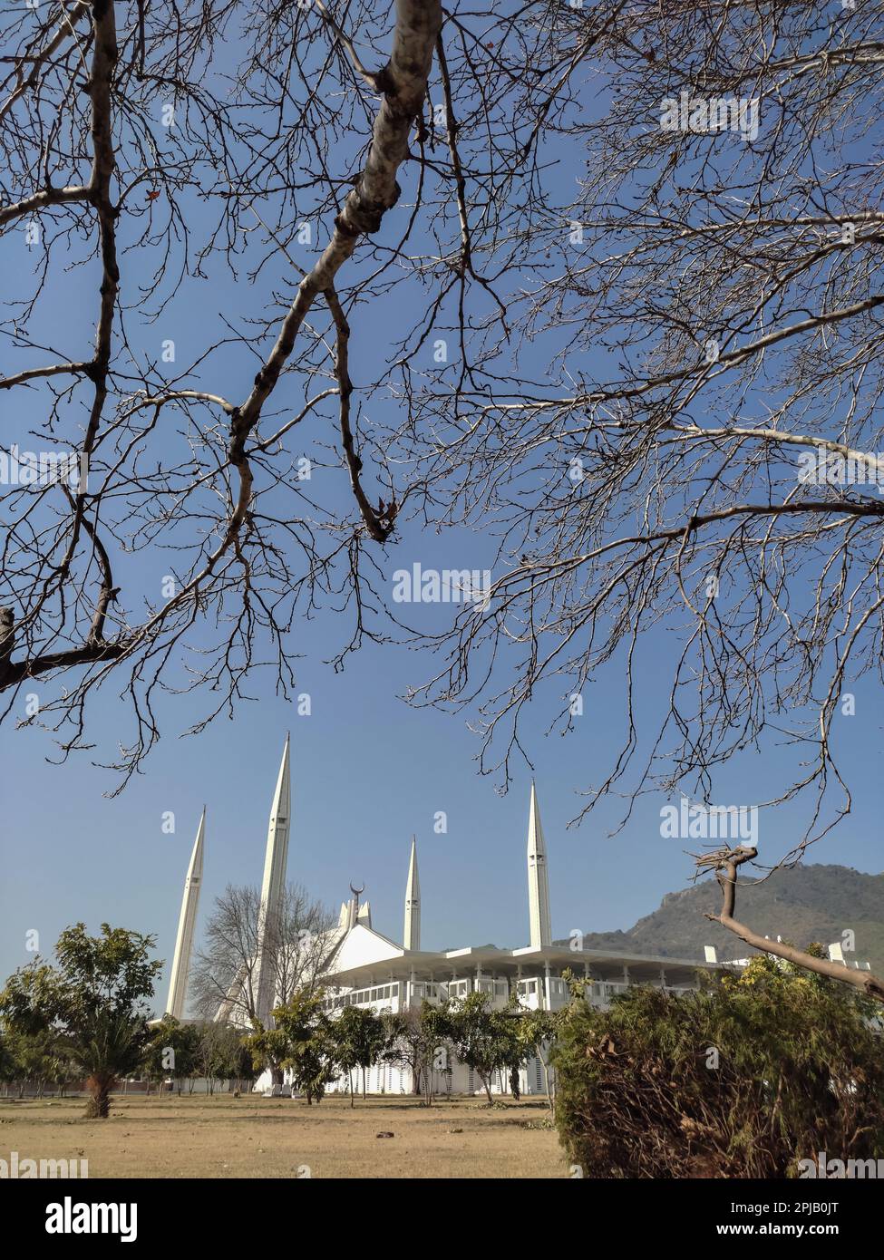 Day of pakistan hi-res stock photography and images - Alamy