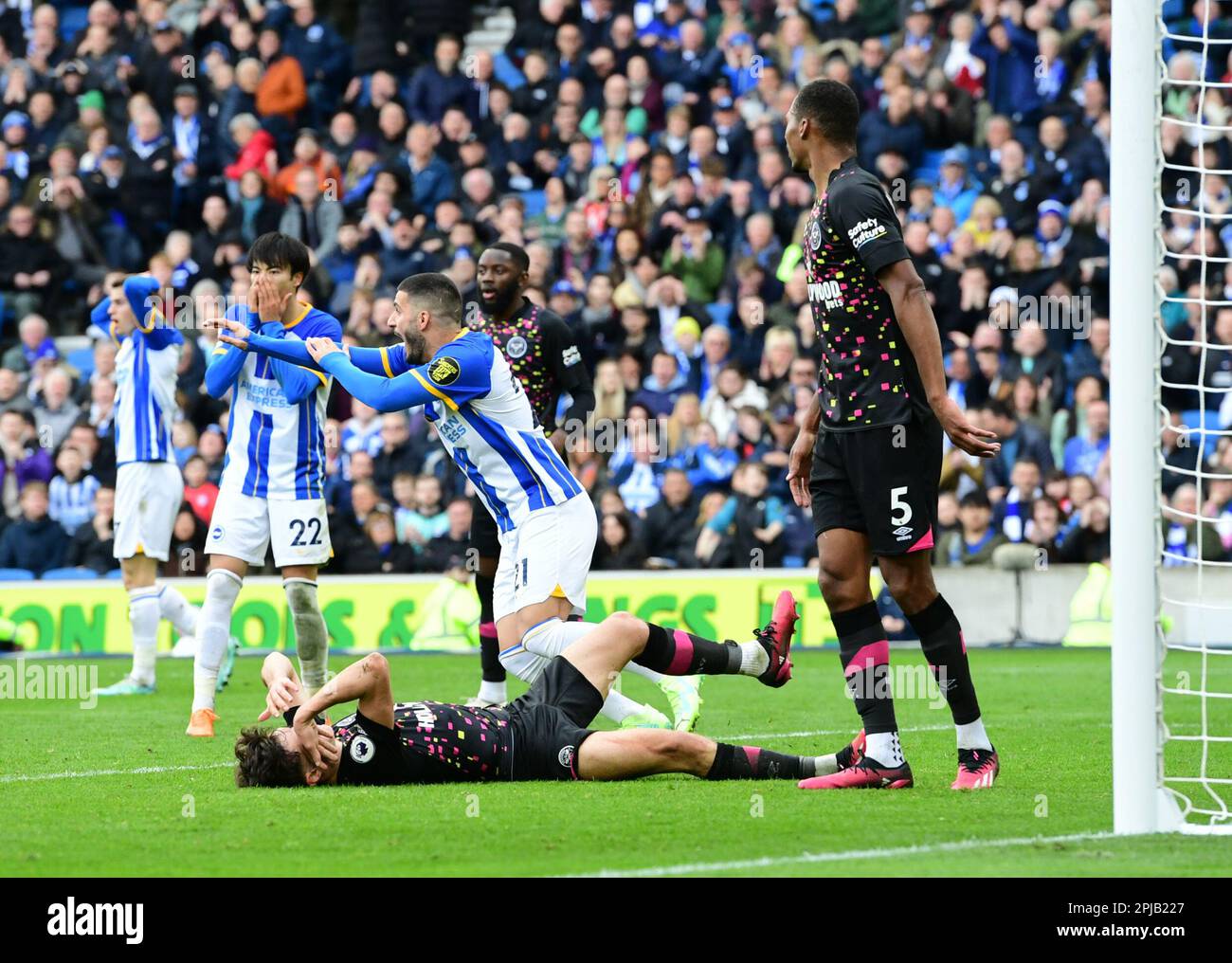 Brighton, UK. 01st Apr, 2023. Deniz Undav of Brighton and Hove Albion ...