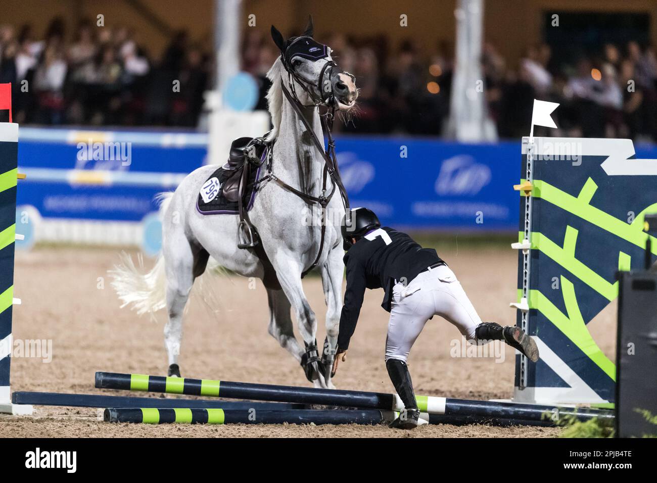 Pictures of horses competing hi-res stock photography and images - Alamy