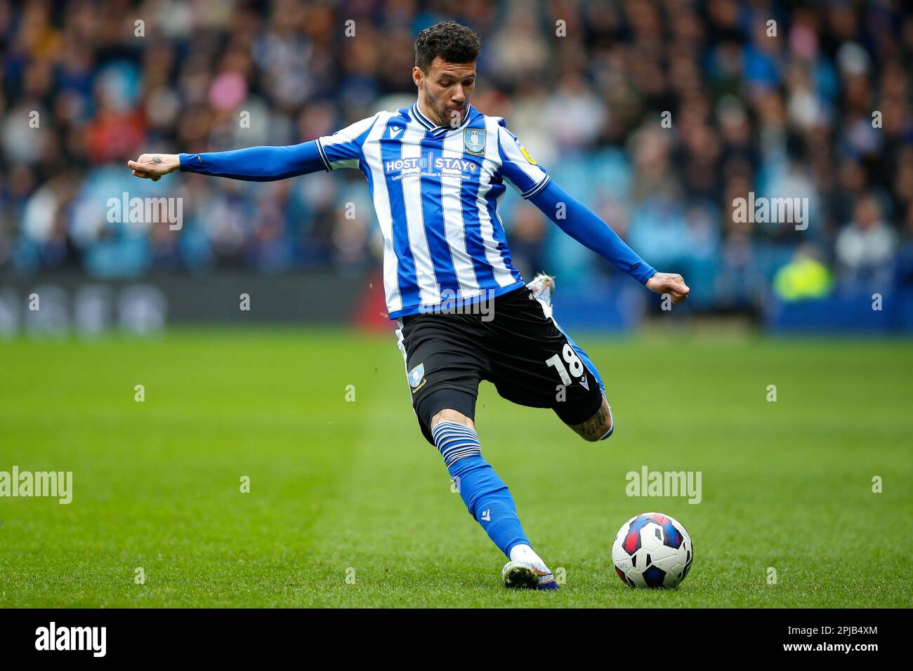 Marvin Johnson #18 of Sheffield Wednesday during the Sky Bet League 1 ...