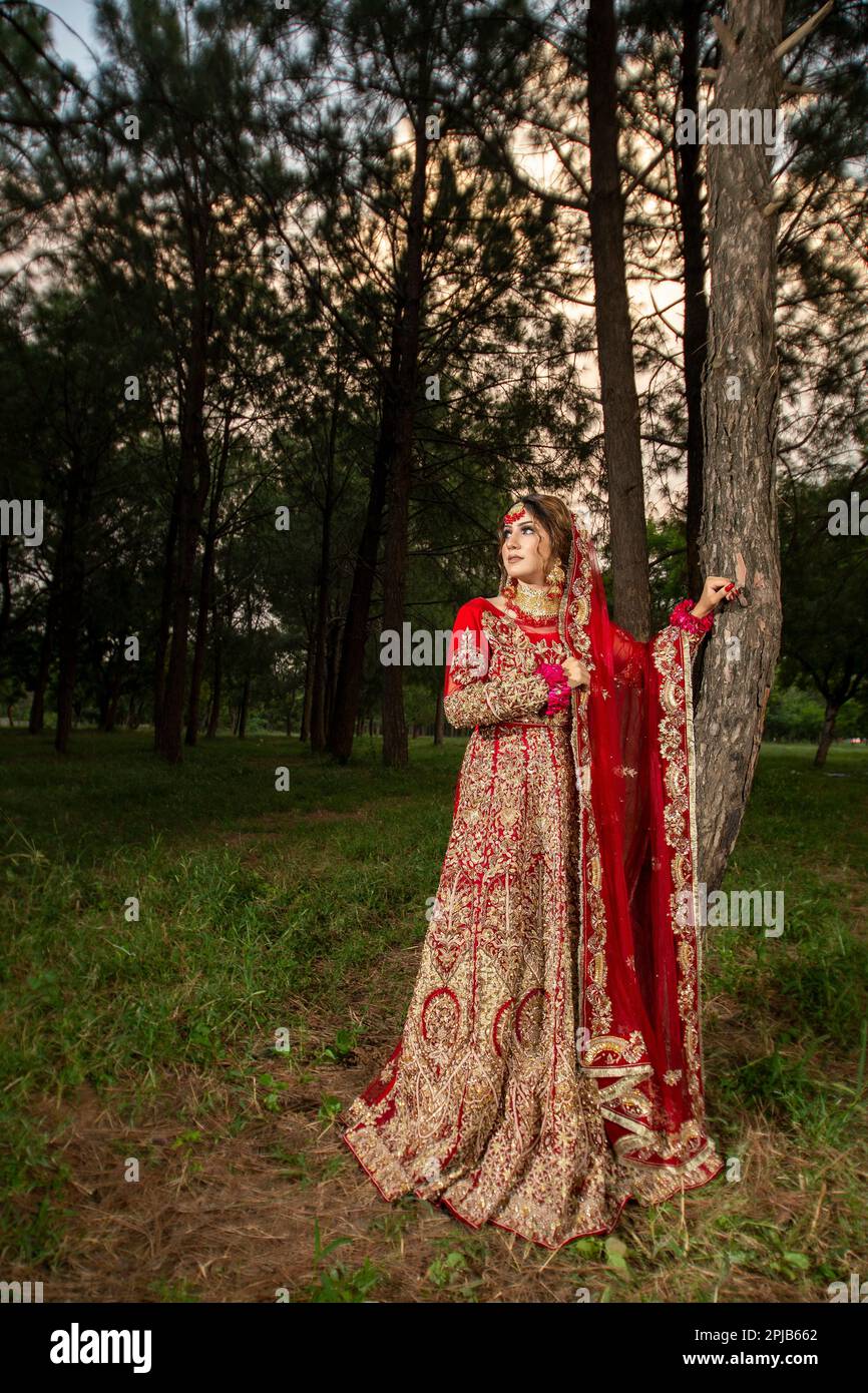 Indian bride dressed in traditional wedding clothes Stock Photo - Alamy