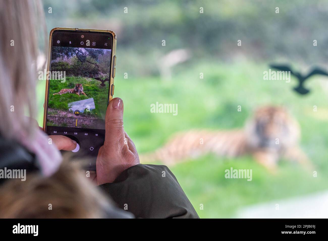 Cobh, County Cork, Ireland. 1st Apr, 2023. The sun shone at Fota ...