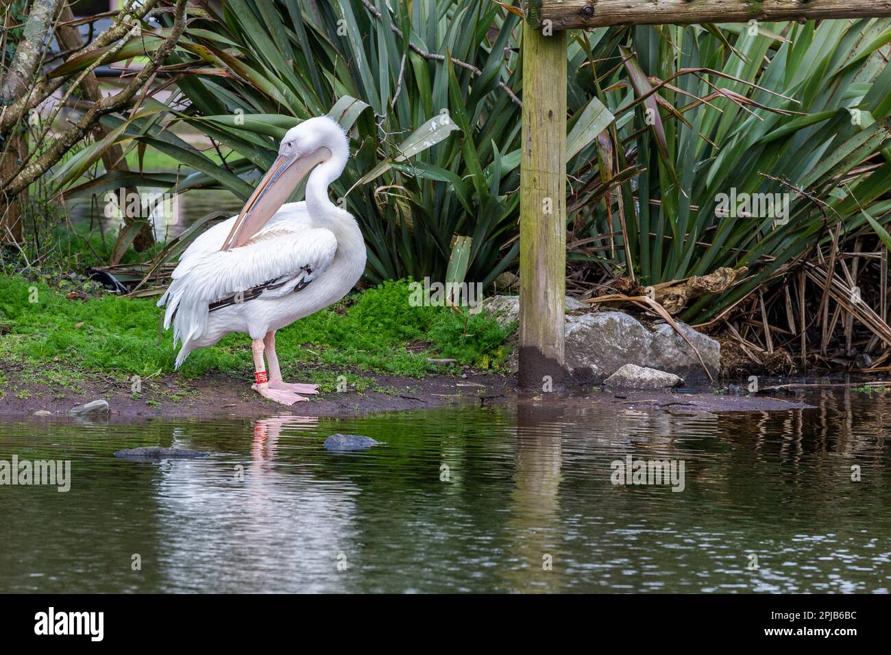 Dunkettle hi-res stock photography and images - Alamy