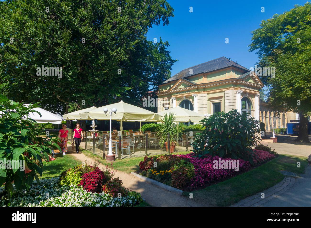 Bad Harzburg: Kurpark (spa park), Trink- und Wandelhalle (spa foyer) in ...