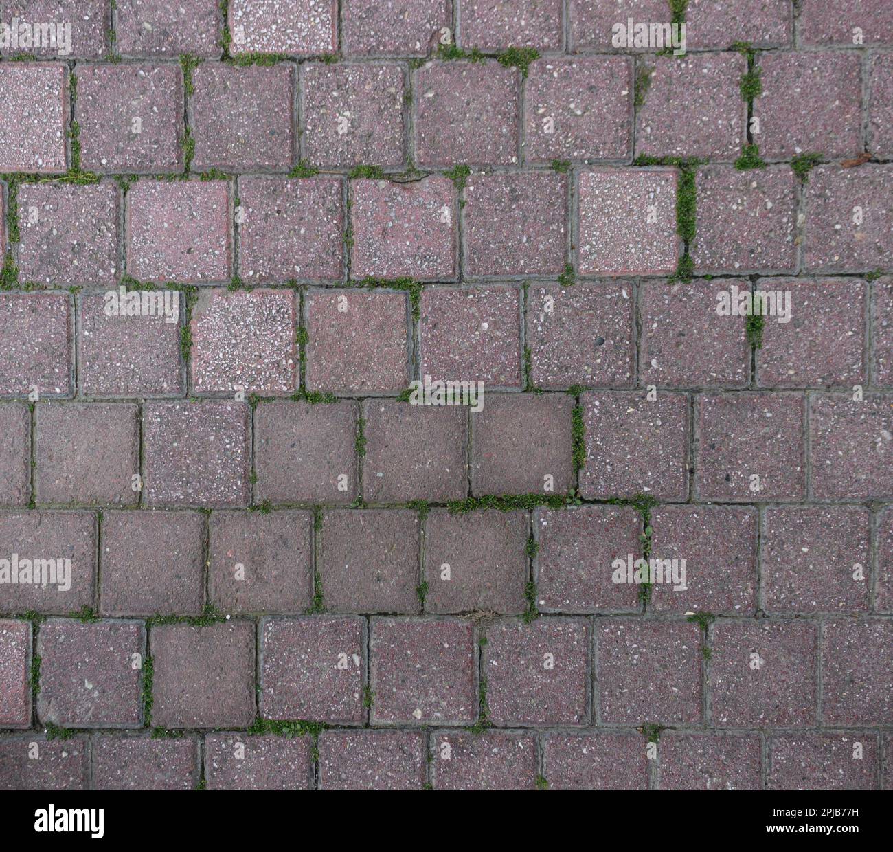 The texture of a street ground Stock Photo - Alamy