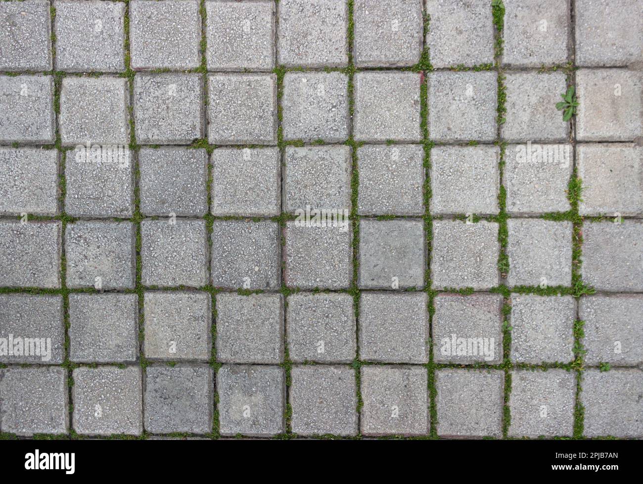 The texture of a street ground Stock Photo - Alamy