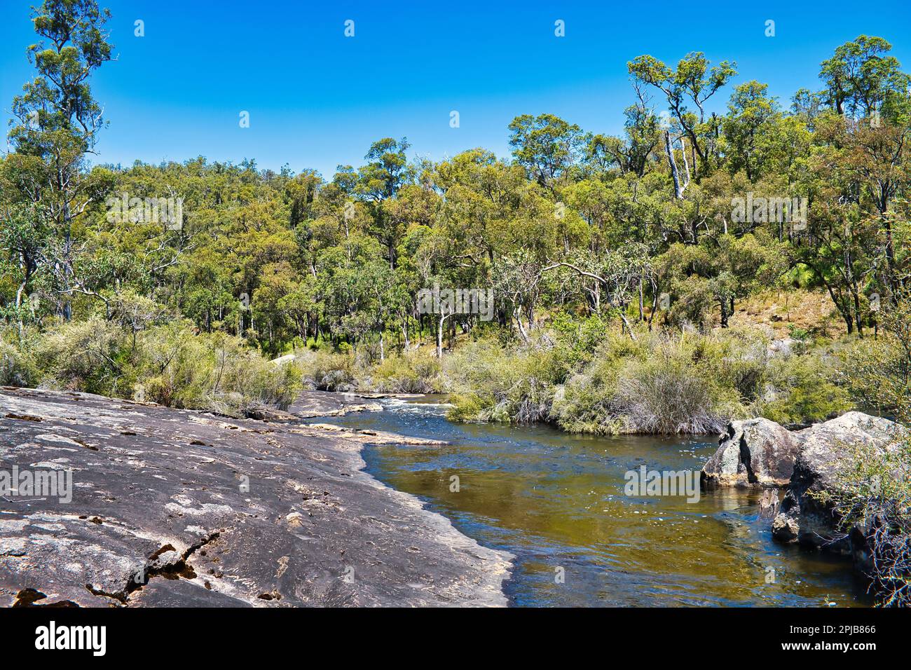 The Collie River in Wellington National Park, Western Australia ...