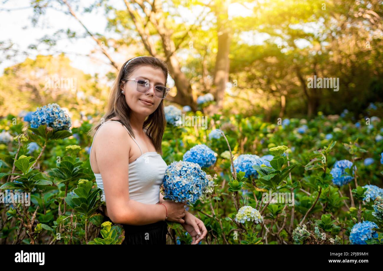 Hydrangea field hi-res stock photography and images - Alamy