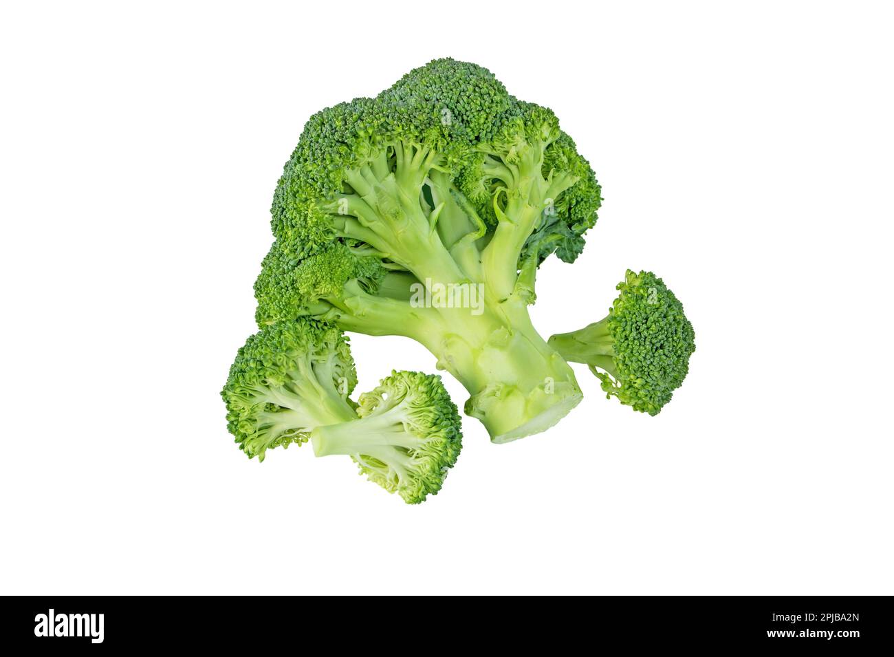 Broccoli head and separate florets isolated on white. Brassica oleracea ...