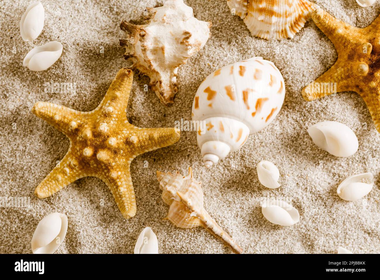 Border seafood hi-res stock photography and images - Alamy