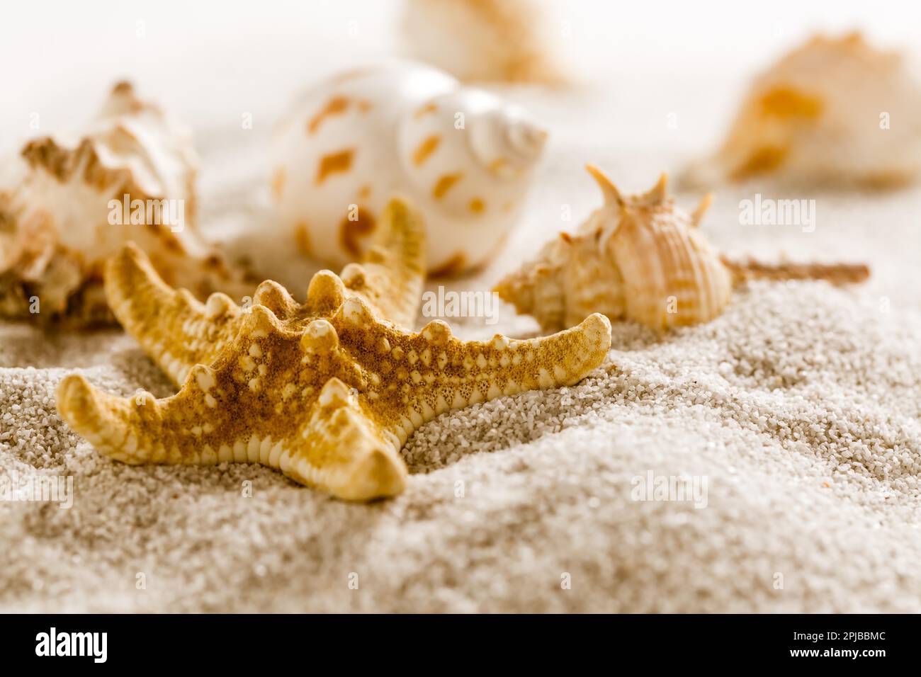 Border seafood hi-res stock photography and images - Alamy