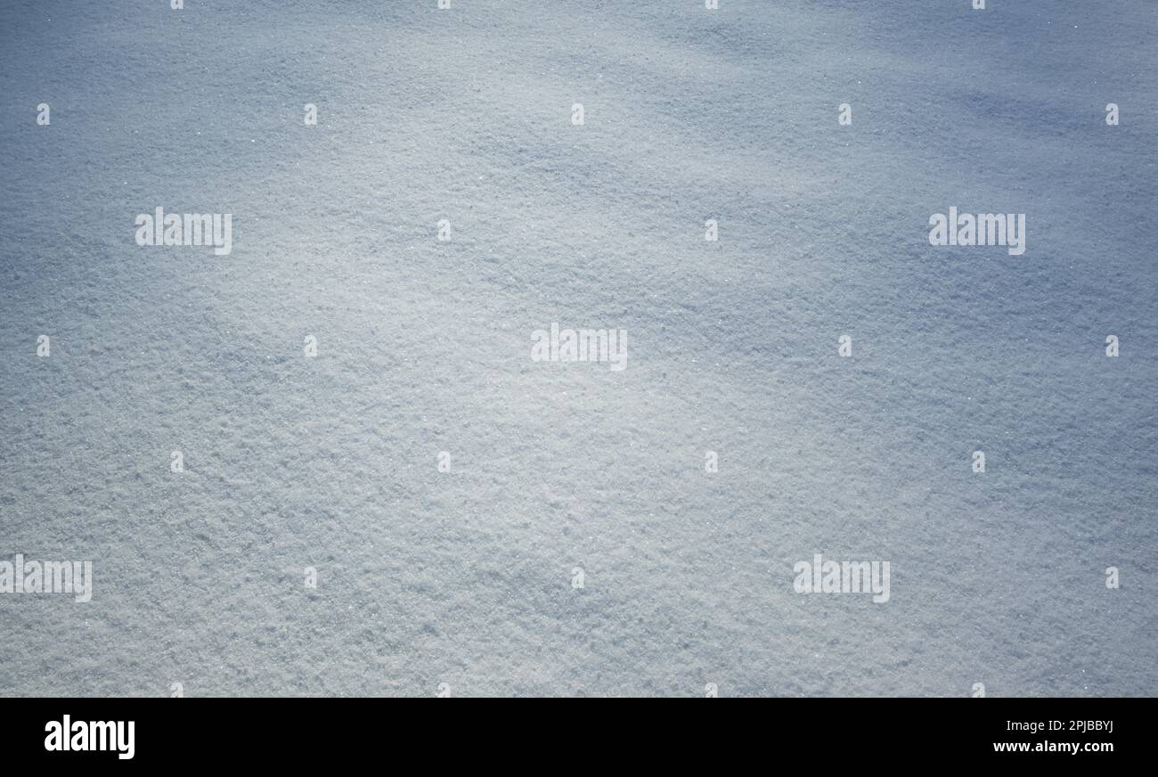 Fresh snow with morning sun light as background Stock Photo - Alamy