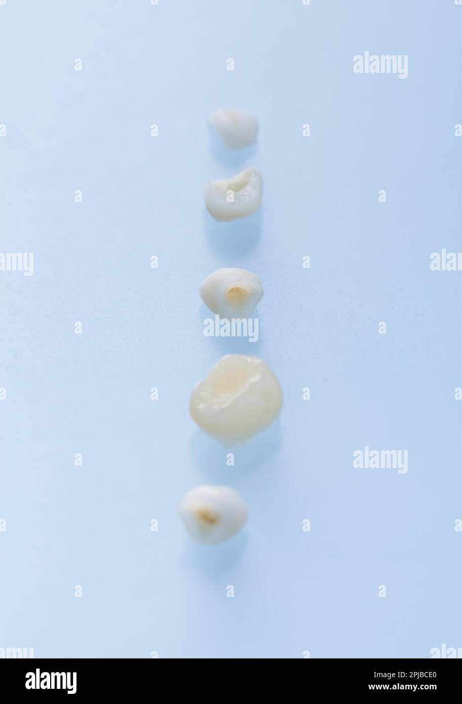 Primary teeth on blue background. Baby teeth, concept of dental care ...