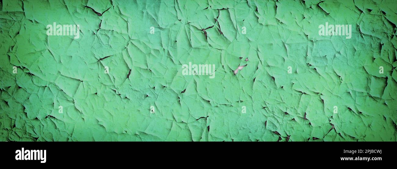 Wall with weathered green paint, panoramic format. Wall with old ...