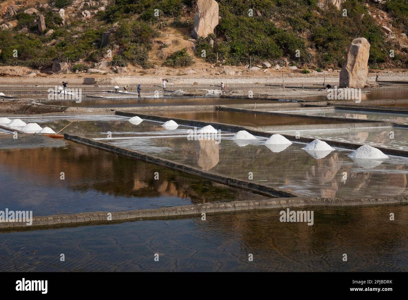 Salt fields for salt extraction, Ninh Thuan, Vietnam Stock Photo - Alamy