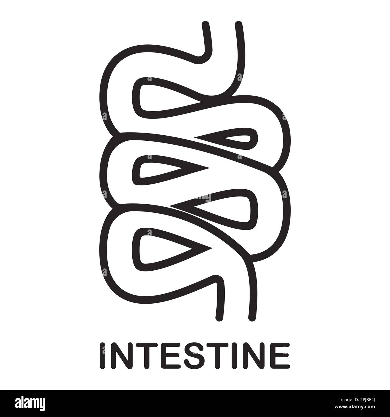 intestine simple icon vector illustration symbol design Stock Photo - Alamy