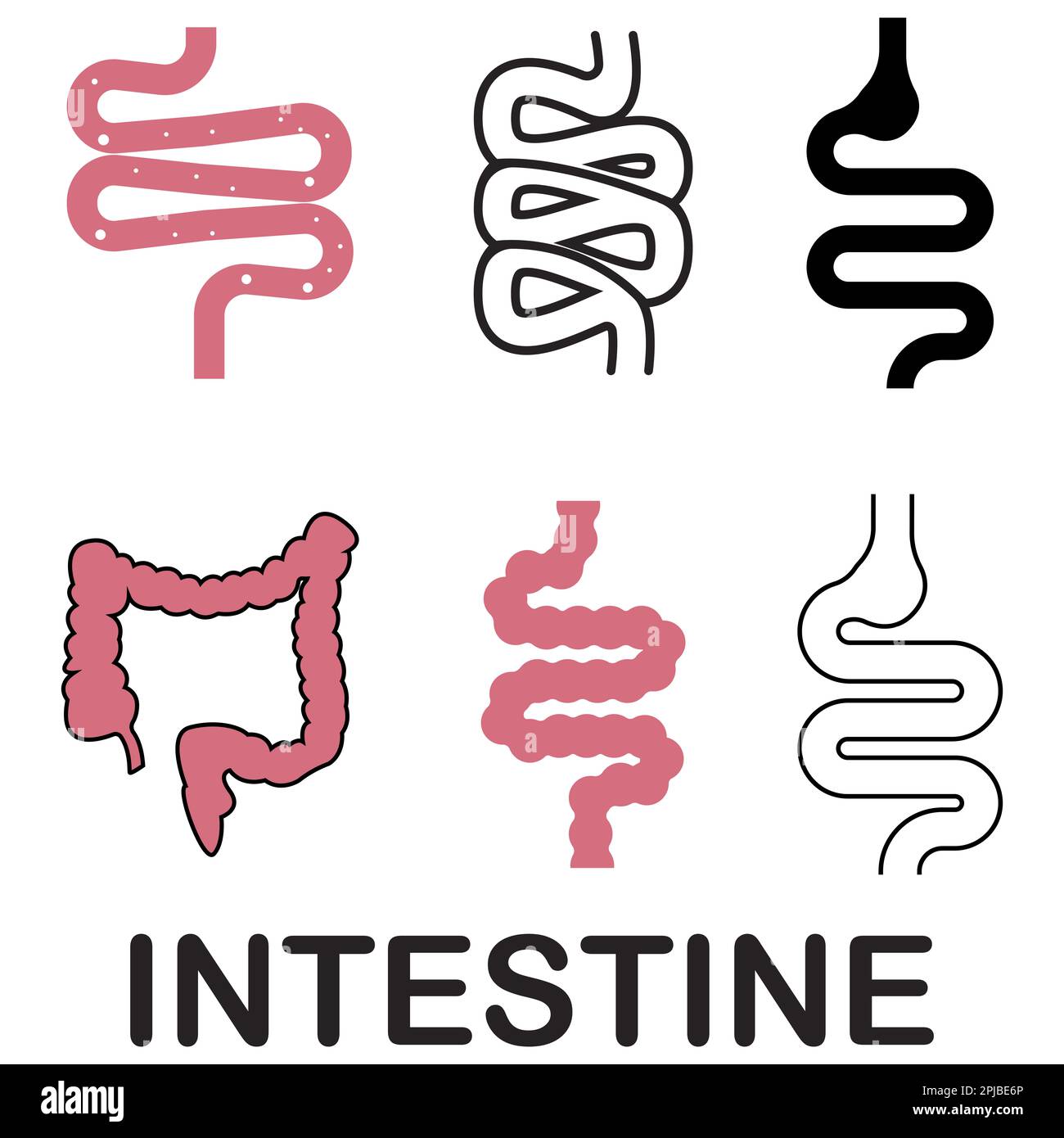 Large intestine black background hi-res stock photography and images ...