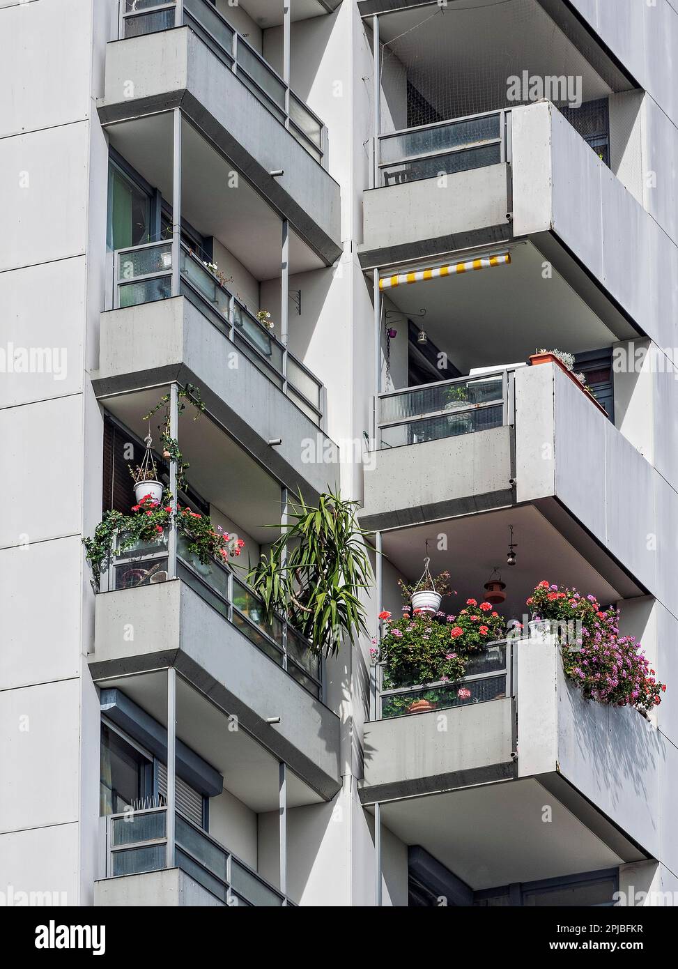 Concrete balconies with geraniums, Ramses high-rise, Westkreuz, Pasing ...