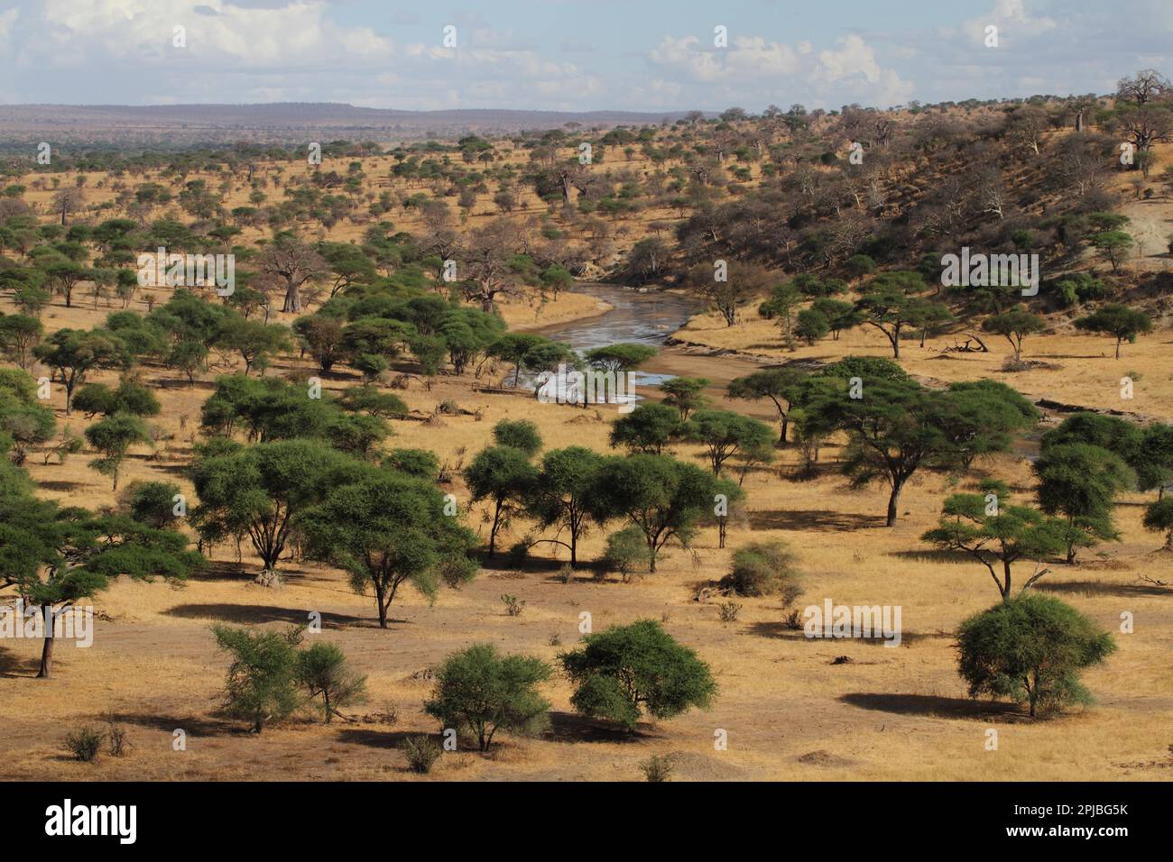 The view to tarangire national park hi-res stock photography and images ...
