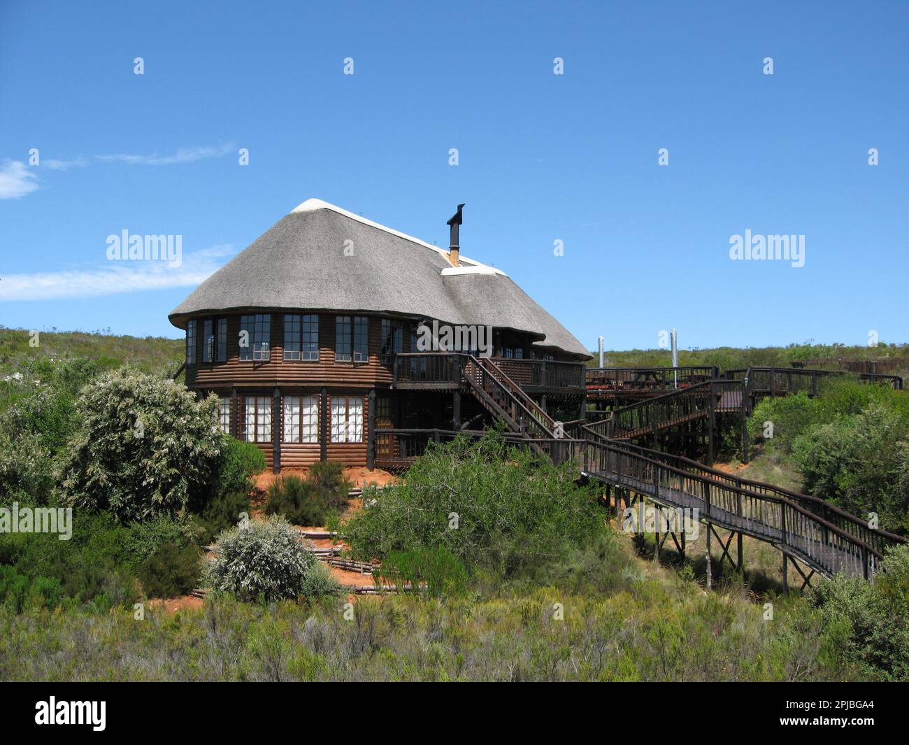 Buchu Bush Camp South Africa Stock Photo - Alamy