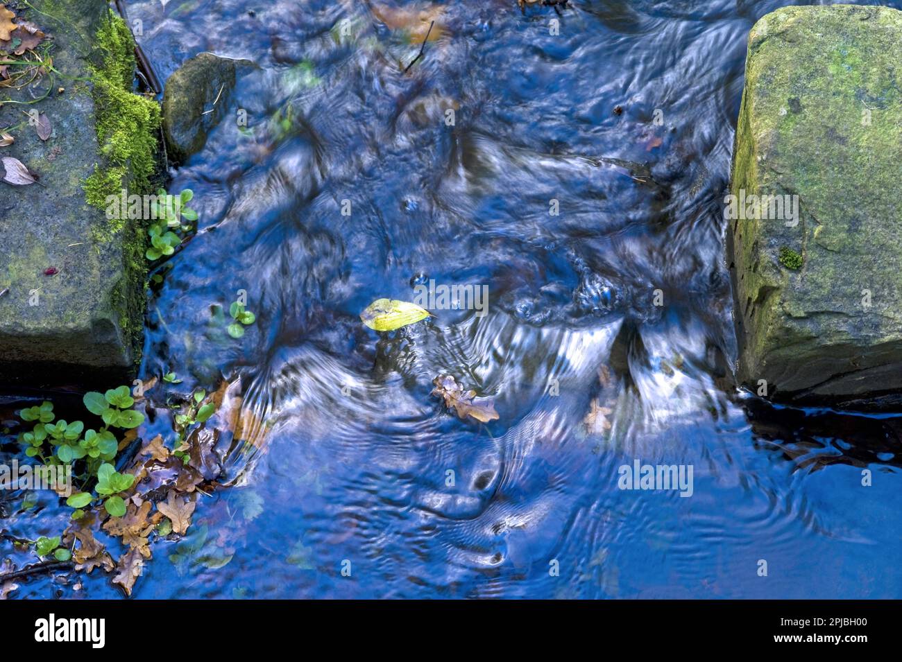Narrows of a narrow stream with water flow and stones Stock Photo - Alamy