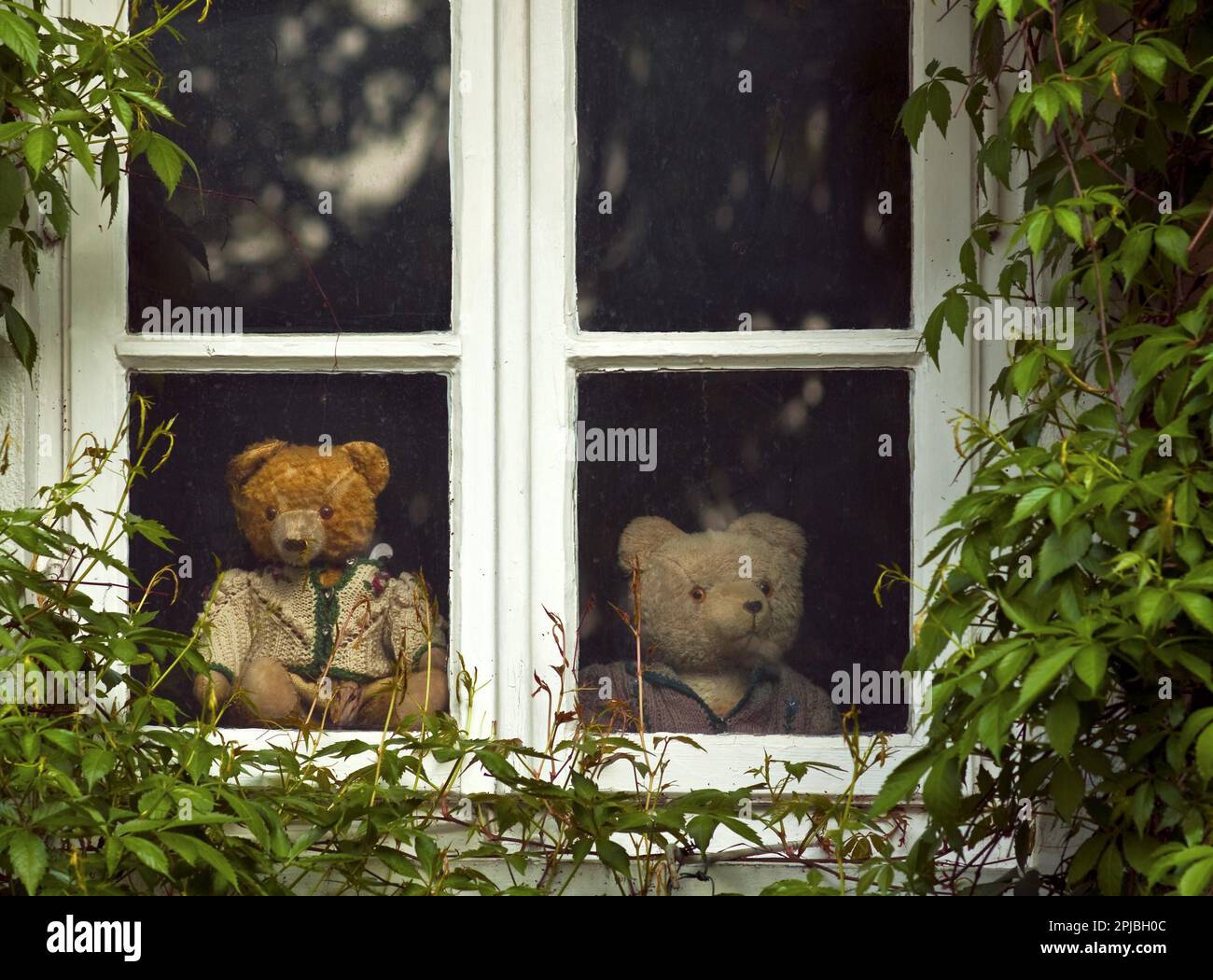 Teddy bears behind a window Stock Photo - Alamy