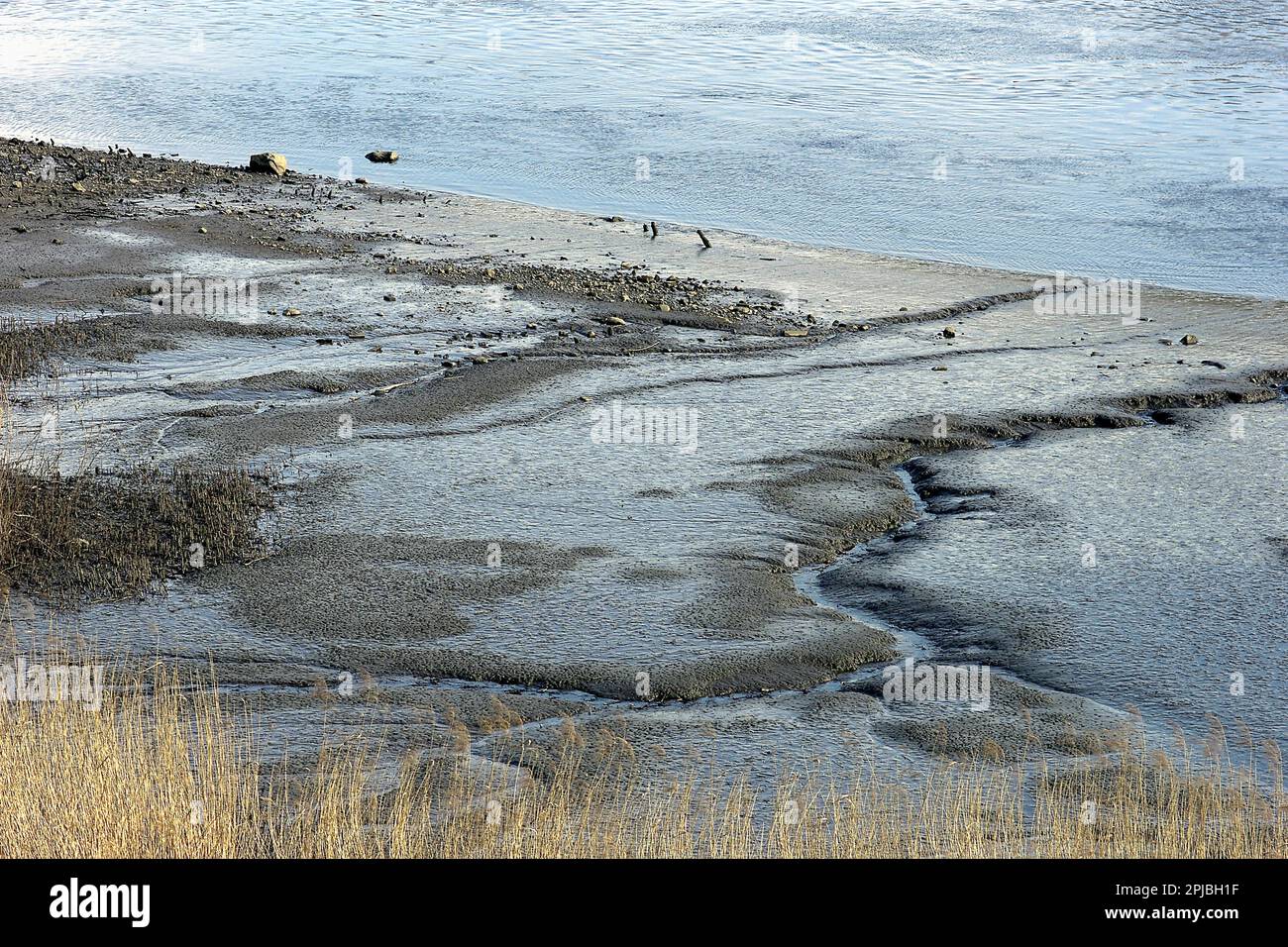 Low water on the river Lesum Stock Photo - Alamy
