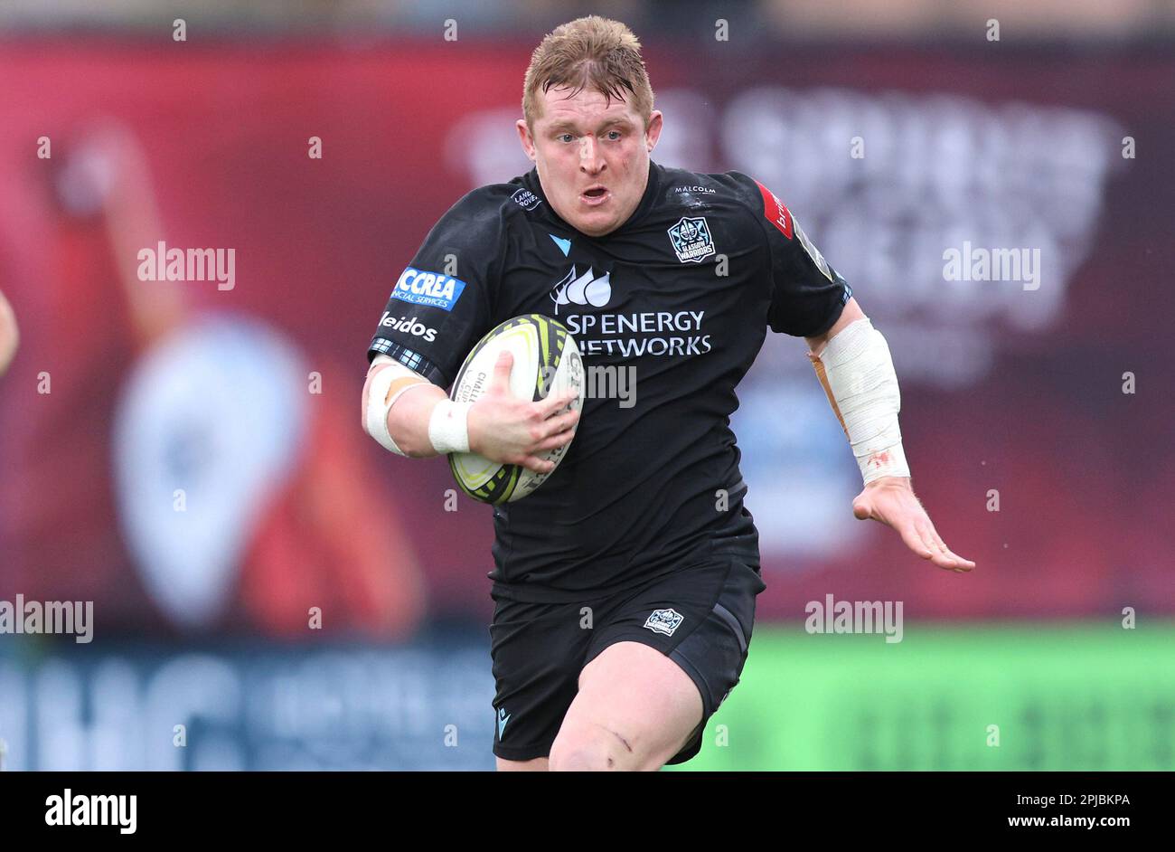 Glasgow's Johnny Matthews on his way to scoring his side's third try of ...