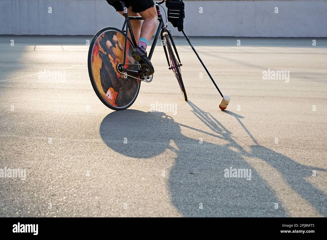 Polo stick hi-res stock photography and images - Alamy