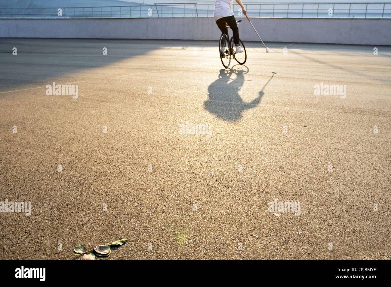 Polo audience hi-res stock photography and images - Alamy