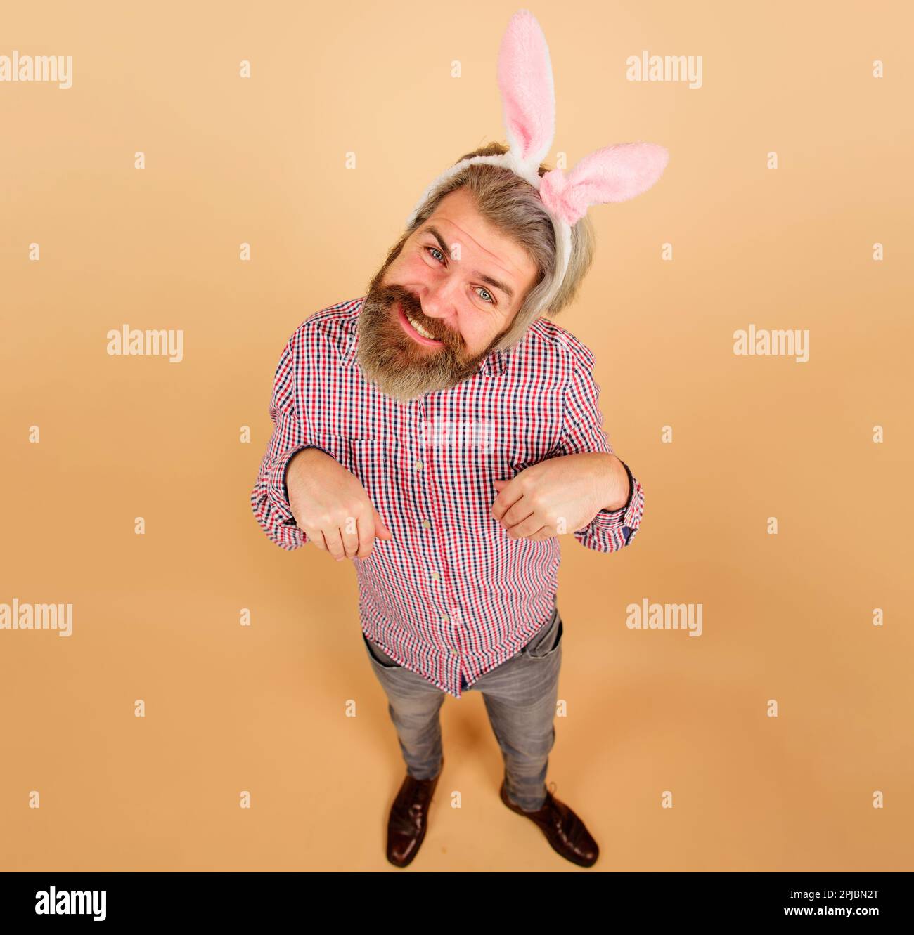 Bunny rabbit funny hi-res stock photography and images - Alamy