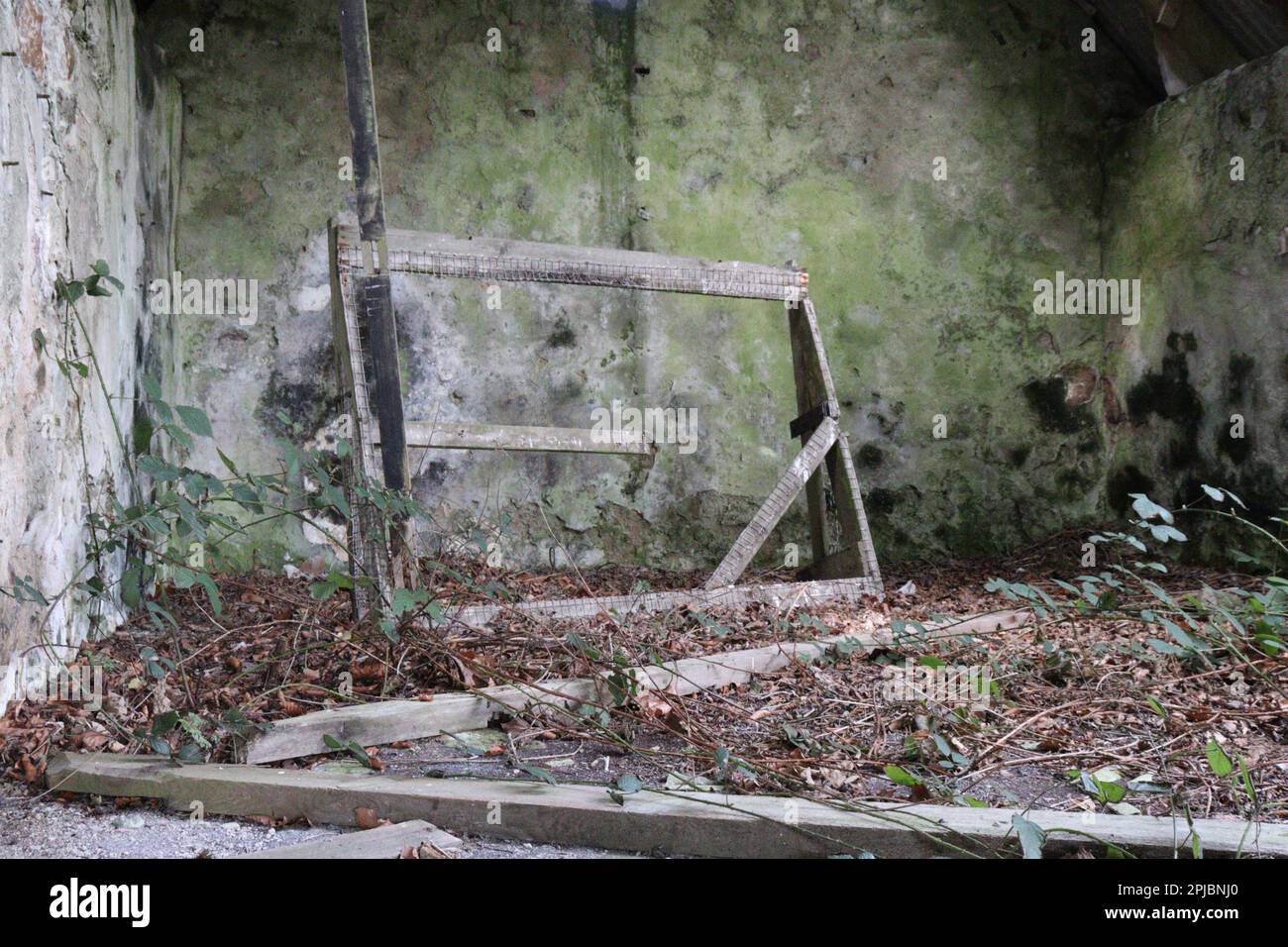 Hillbilly cabin hi-res stock photography and images - Alamy