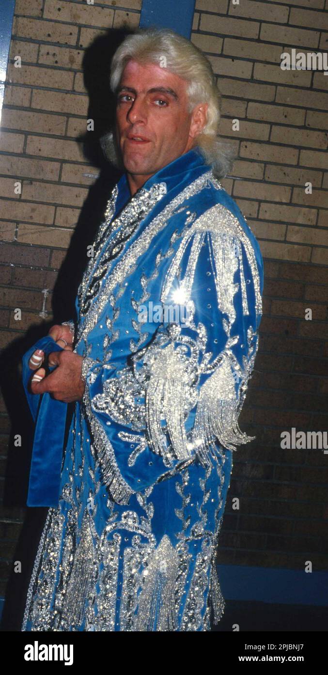 1987 Ric Flair Photo by John Barrett/PHOTOlink Stock Photo - Alamy