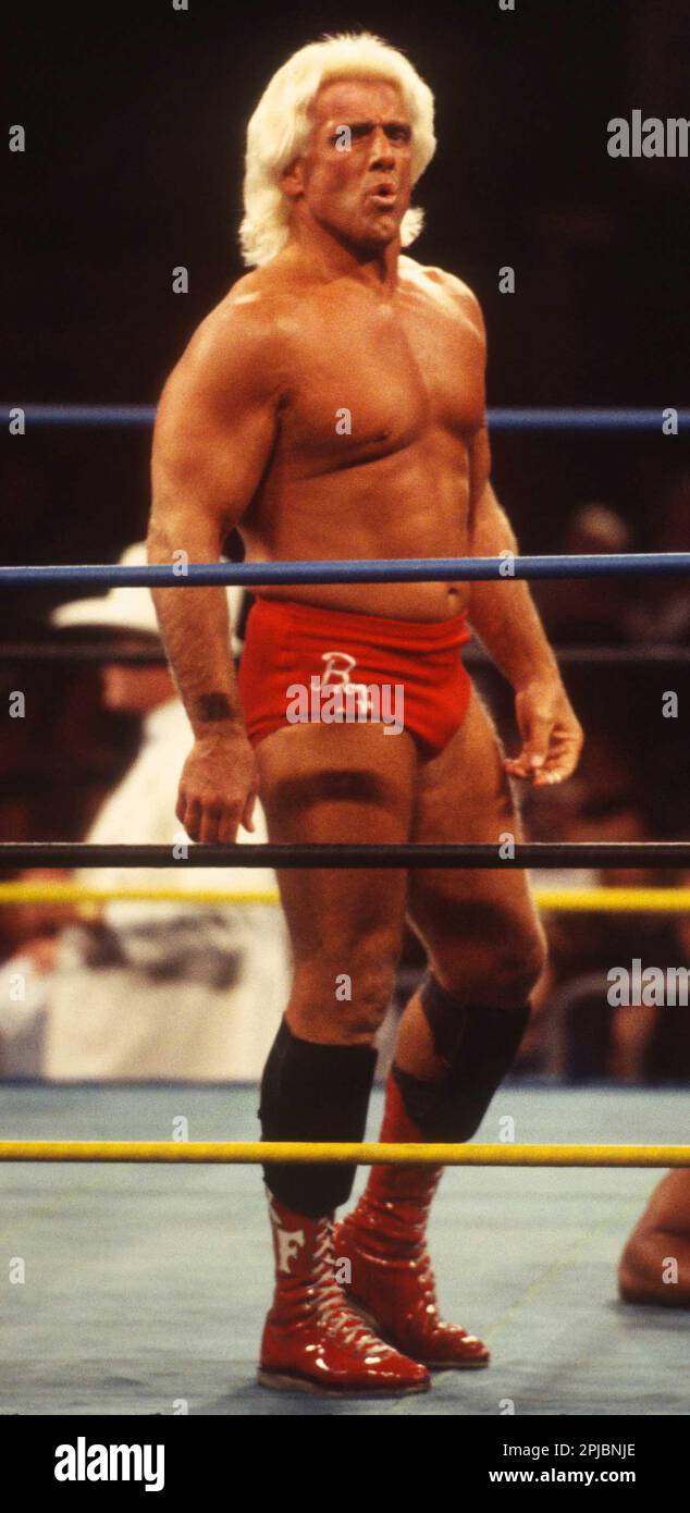 1993 Ric Flair Photo by John Barrett/PHOTOlink Stock Photo - Alamy