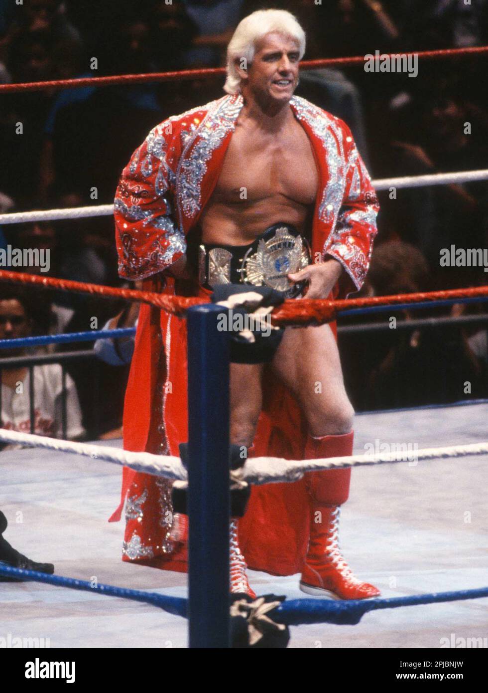 1991 Ric Flair Photo by John Barrett/PHOTOlink Stock Photo - Alamy