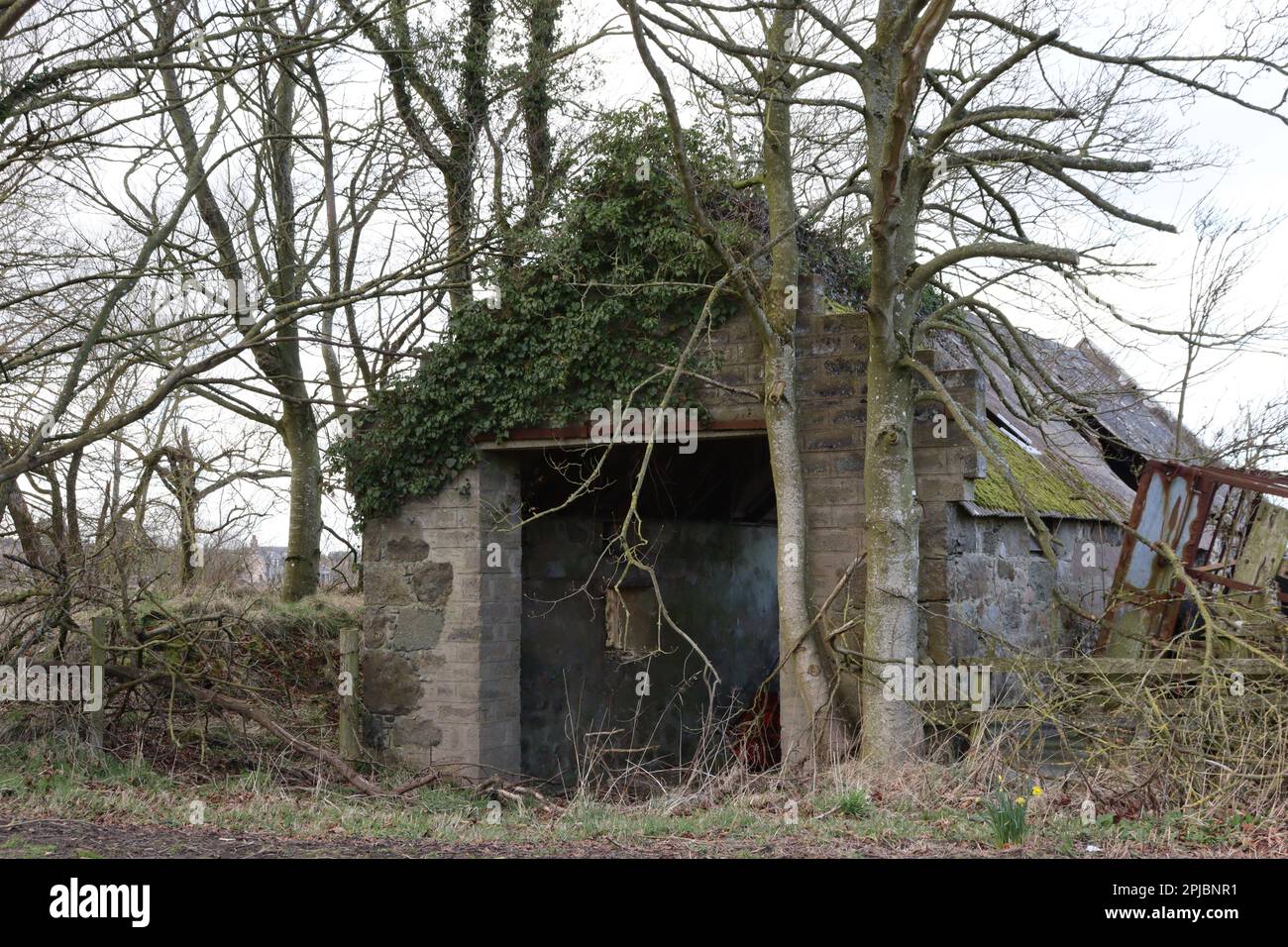 Hillbilly cabin hi-res stock photography and images - Alamy