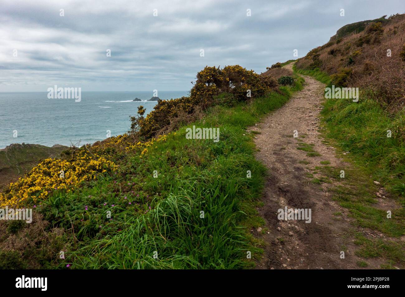Coast Path West penwith Stock Photo - Alamy