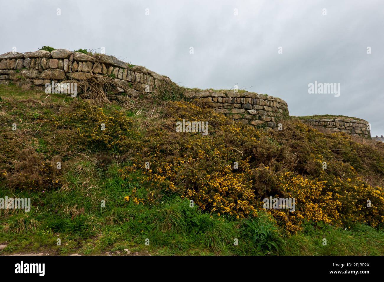 Bosorne common hi-res stock photography and images - Alamy