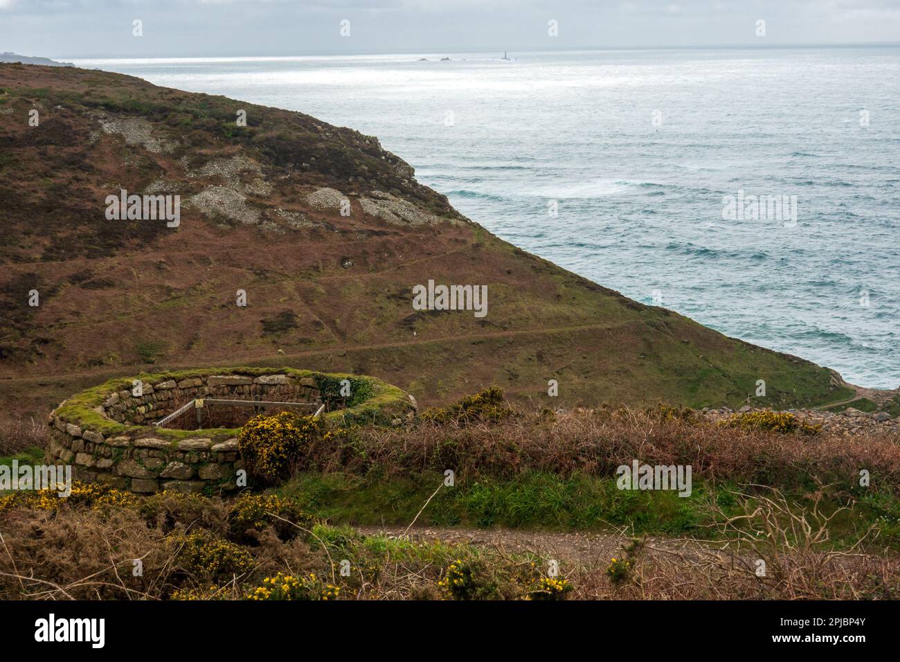 Bosorne common hi-res stock photography and images - Alamy