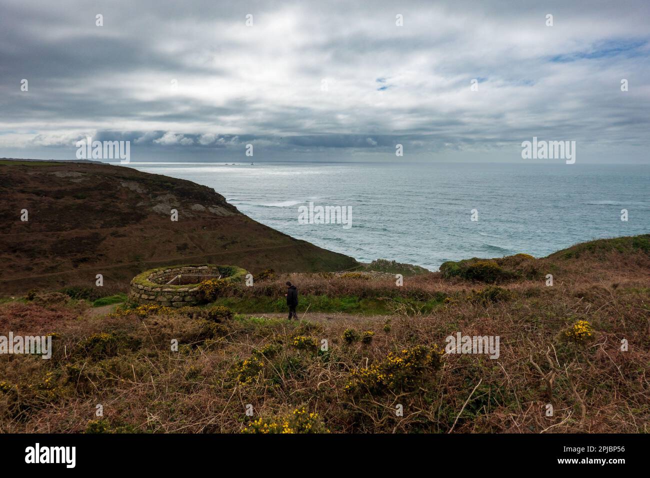 Bosorne common hi-res stock photography and images - Alamy