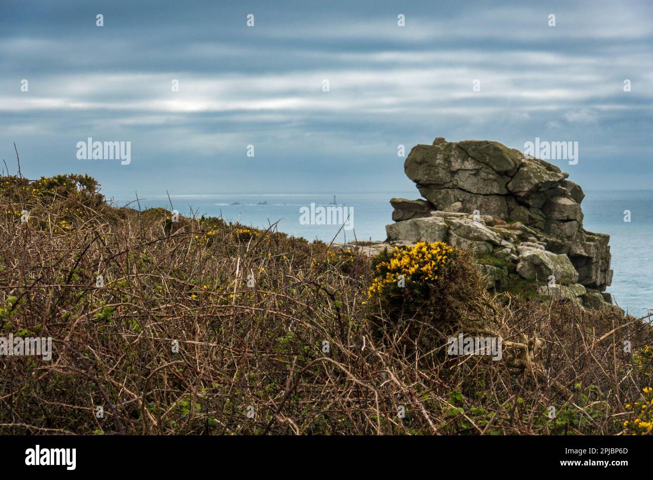 Gloose hi-res stock photography and images - Alamy