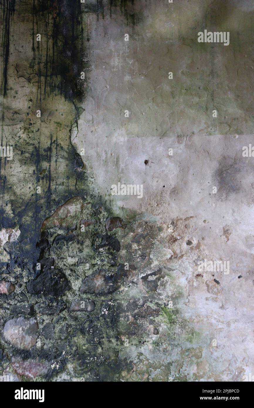 Textures in ruined old building Stock Photo - Alamy