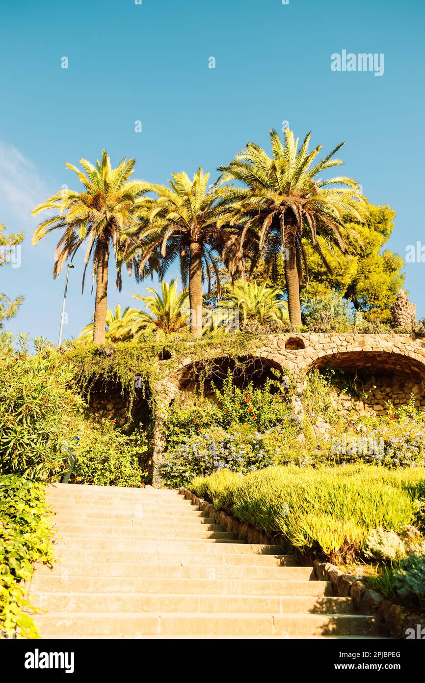 Picturesque garden an alley among the gardens of the Guell Park ...