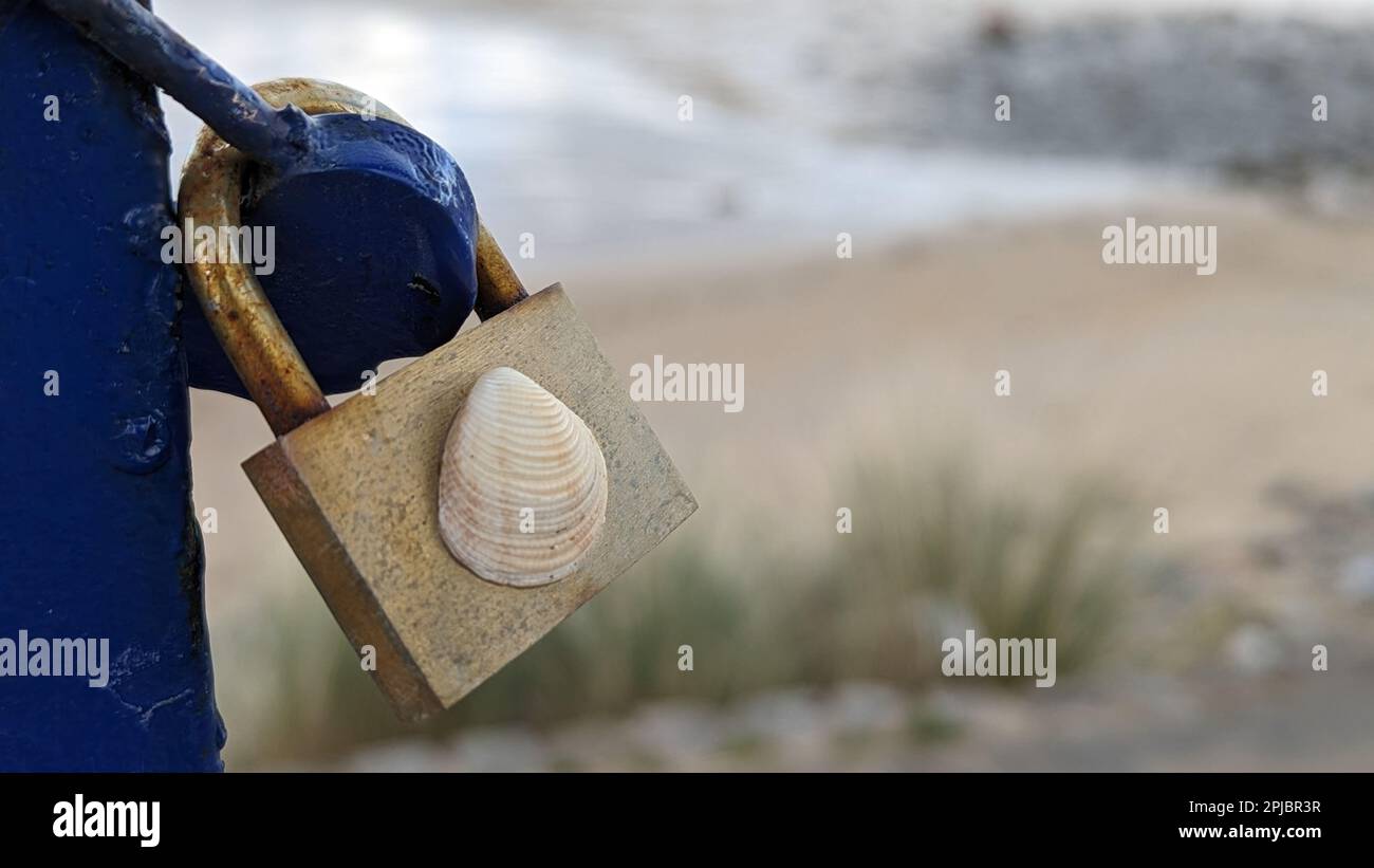 Beach sand pearl necklace shell hi-res stock photography and images - Alamy