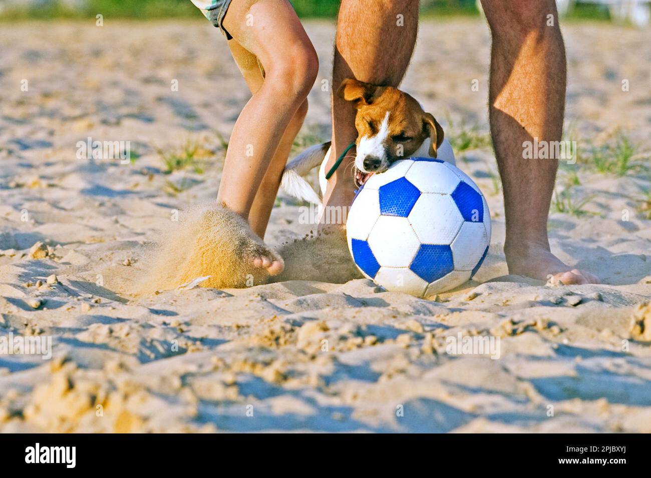 Bite mask hi-res stock photography and images - Alamy