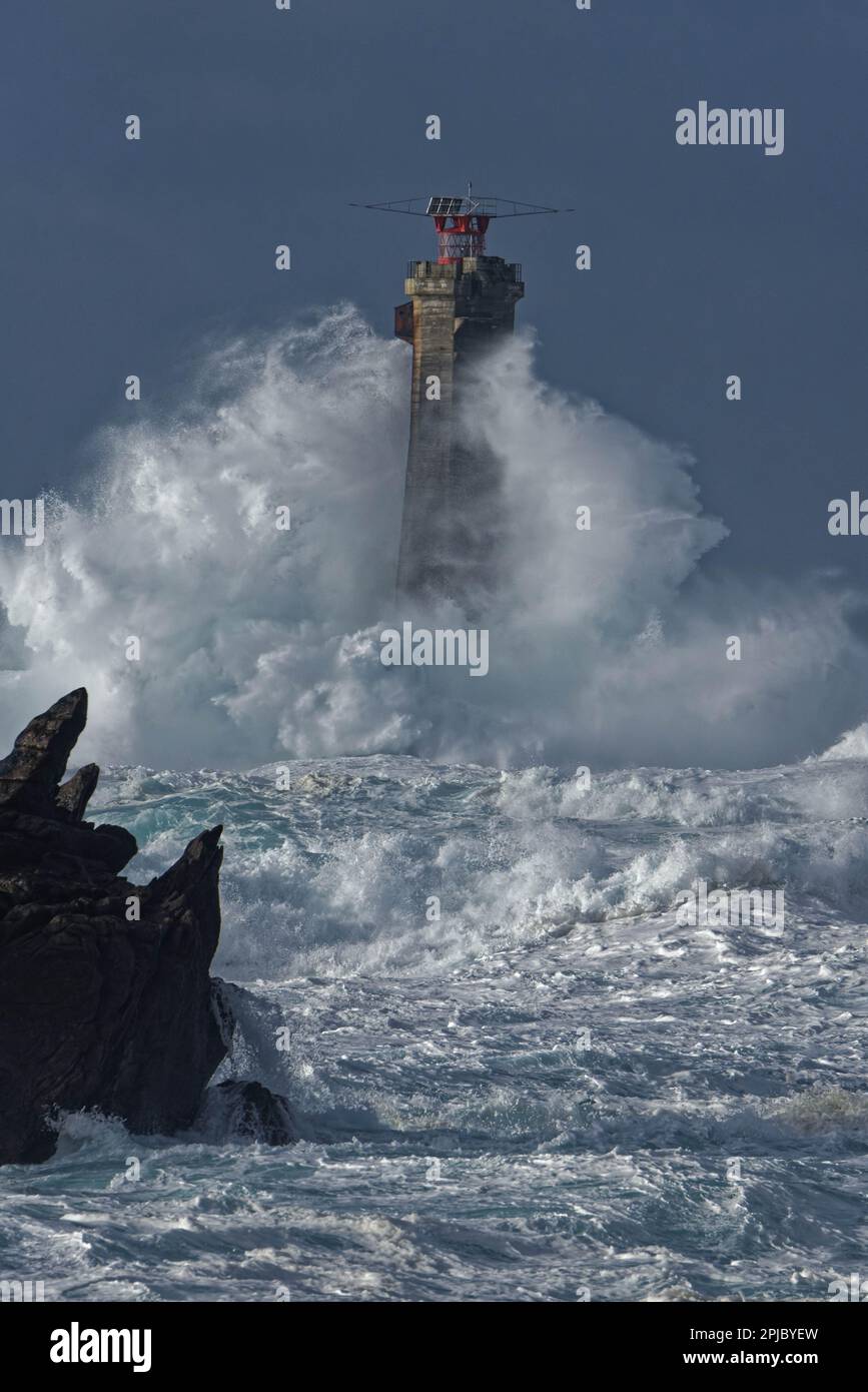 FRANCE. BRITTANY. FINISTERE (29) OUESSANT ISLAND, THE NIVIDIC ...