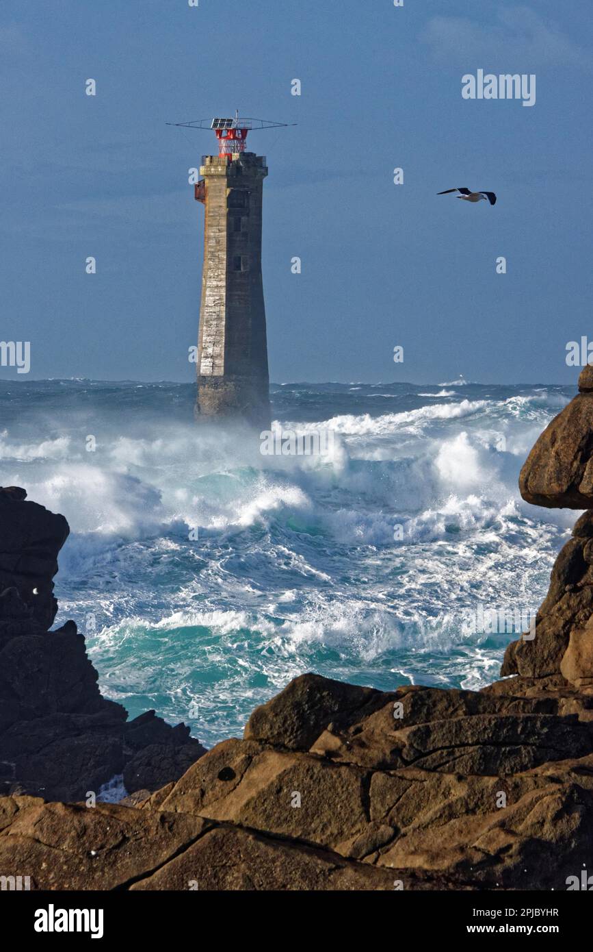 FRANCE. OUESSANT ISLAND, NEAR THE NIDIVIC LIGHTHOUSE, THE "CARMEN ...