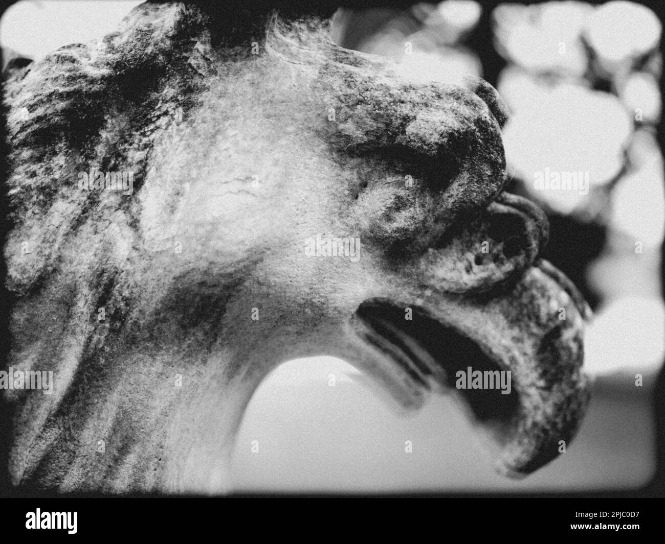 Black and White Gargoyle Statue, Caversham Court, Gardens, Caversham ...