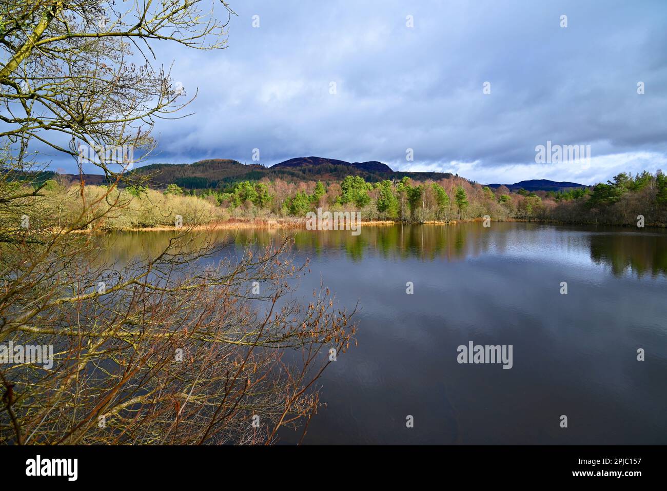 Thriving habitat hi-res stock photography and images - Alamy